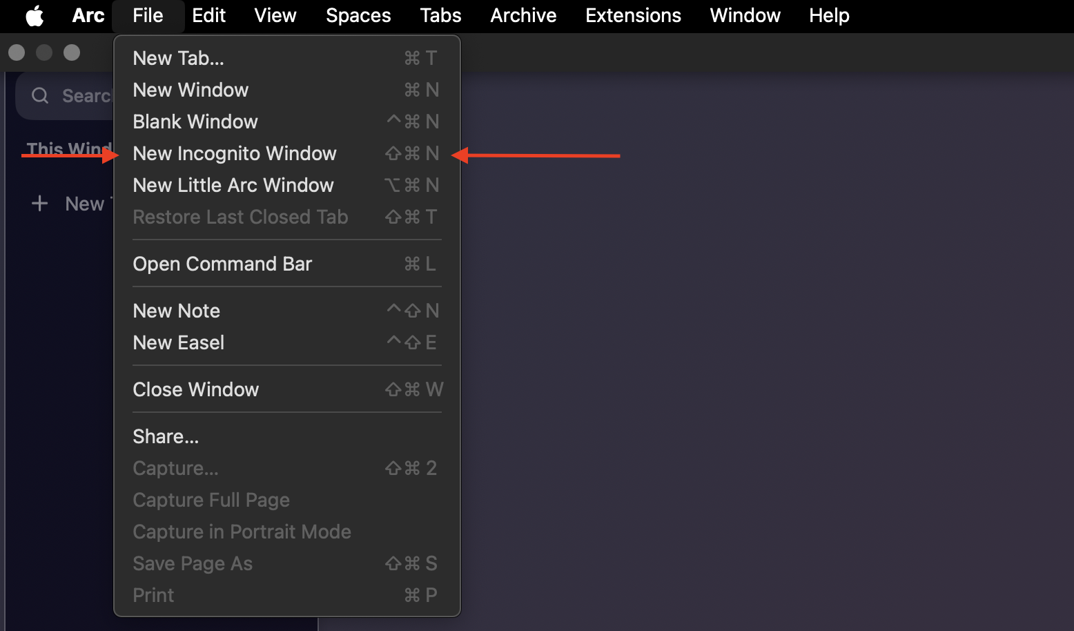 Open Incognito Window – Arc Help Center